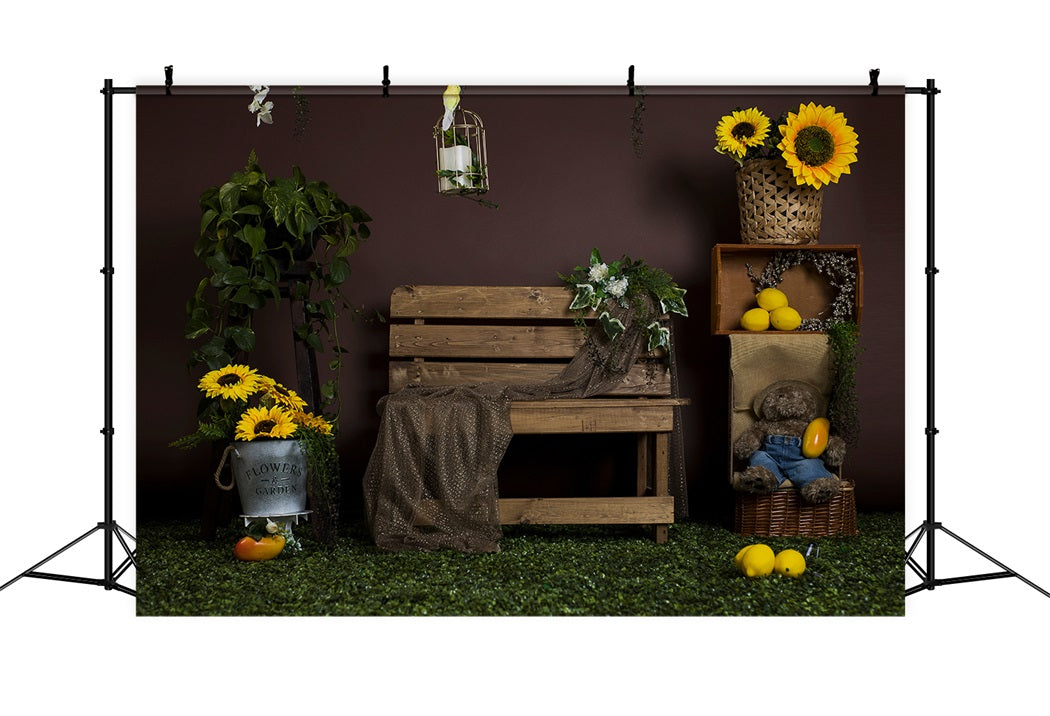 Summer Sunflower Bench Lemon Backdrop RR3-20 – Dbackdrop