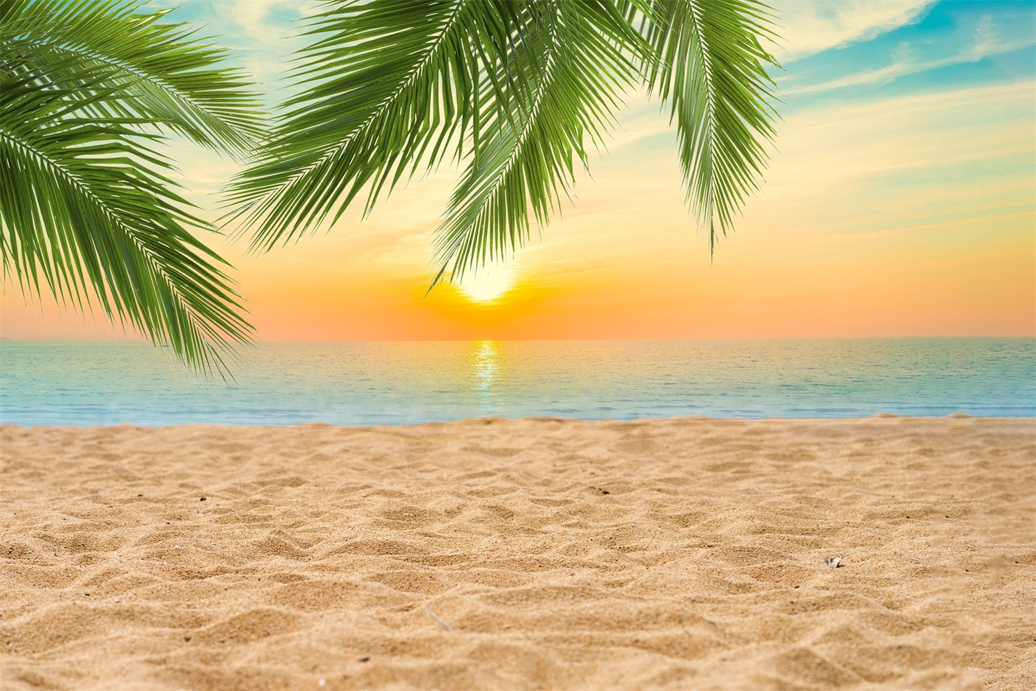 DBackdrop Summer Seaside Beach Coconut Tree Sunset Backdrop RR3-42 ...