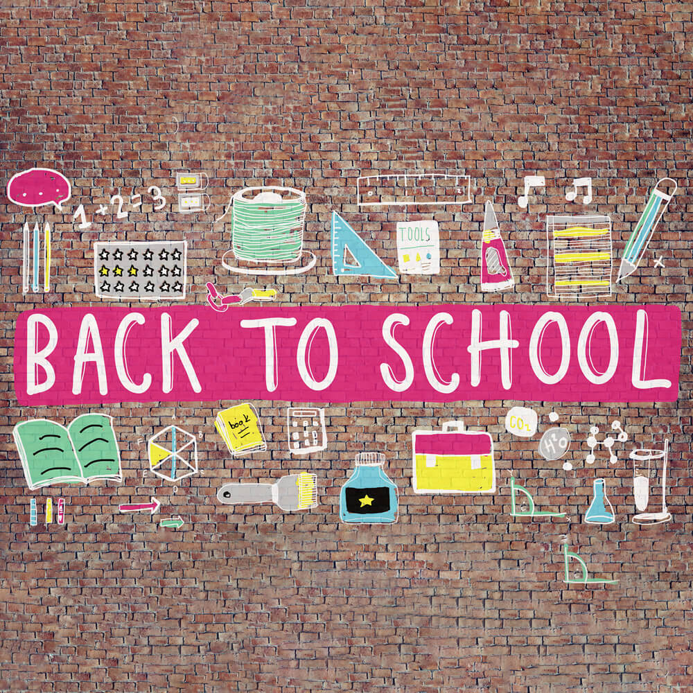 Back to School Brick Wall Photography Backdrop RR6-26 – Dbackdrop