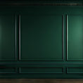 Modern Classic Green Interior Wall Backdrop RR6-75 – Dbackdrop