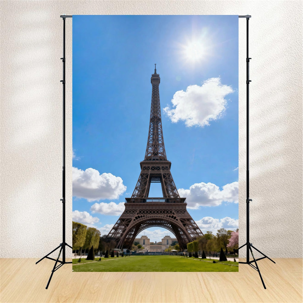 Large Eiffel Tower Backdrop Blue Sky Sunlit Landmark Paris Photo Backd