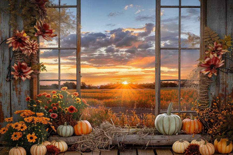 Fall Pumpkins Sunset Window Scenery Backdrop RR7-151