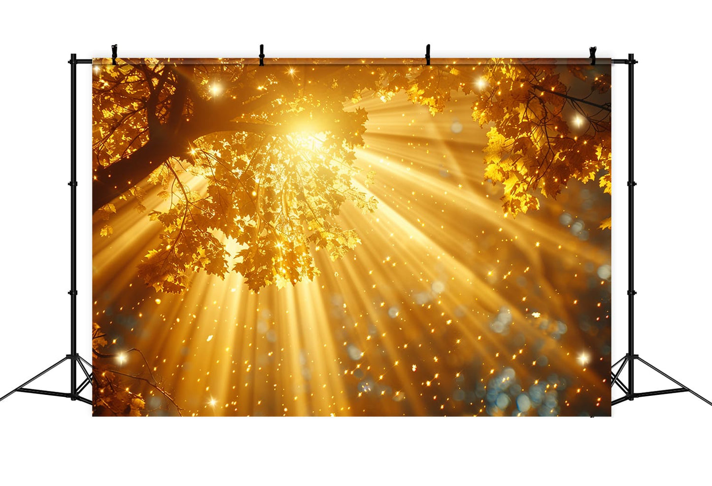 Fall Forest Sunlight Rays Photography Backdrop RR7-155 – Dbackdrop