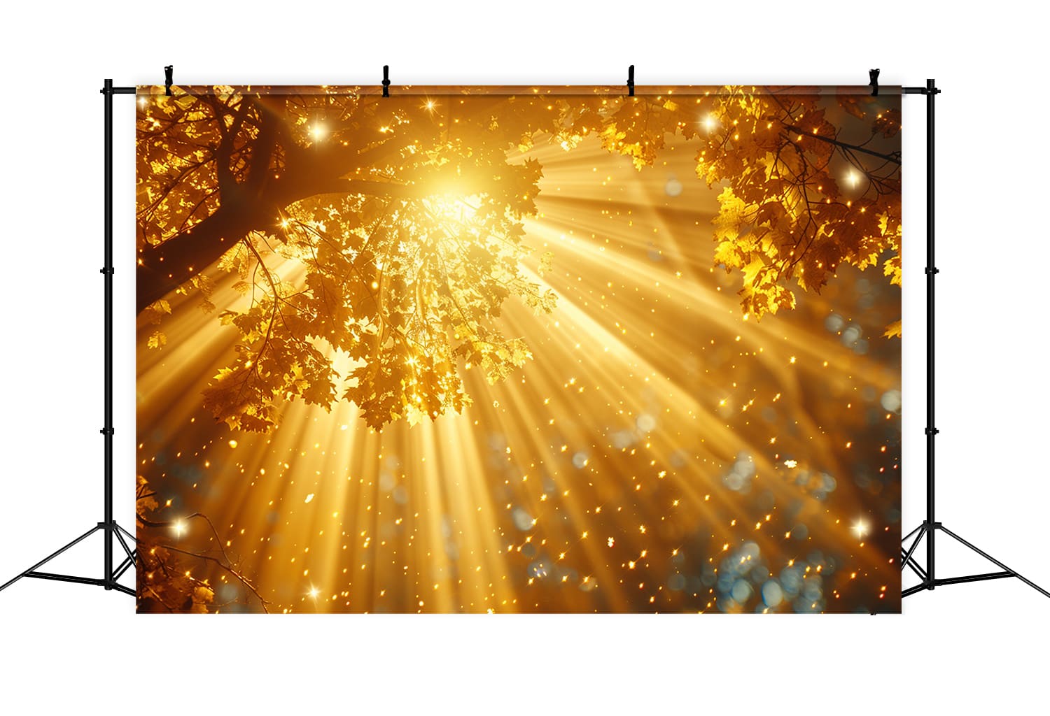 Fall Forest Sunlight Rays Photography Backdrop RR7-155 – Dbackdrop