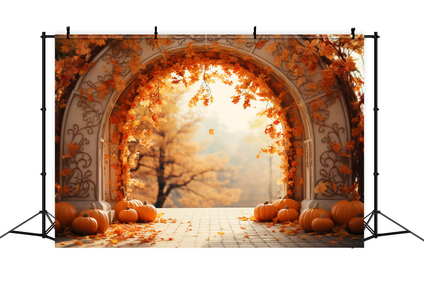 Maple Leaves Arch Pumpkins Autumn Backdrop RR7-178 – Dbackdrop