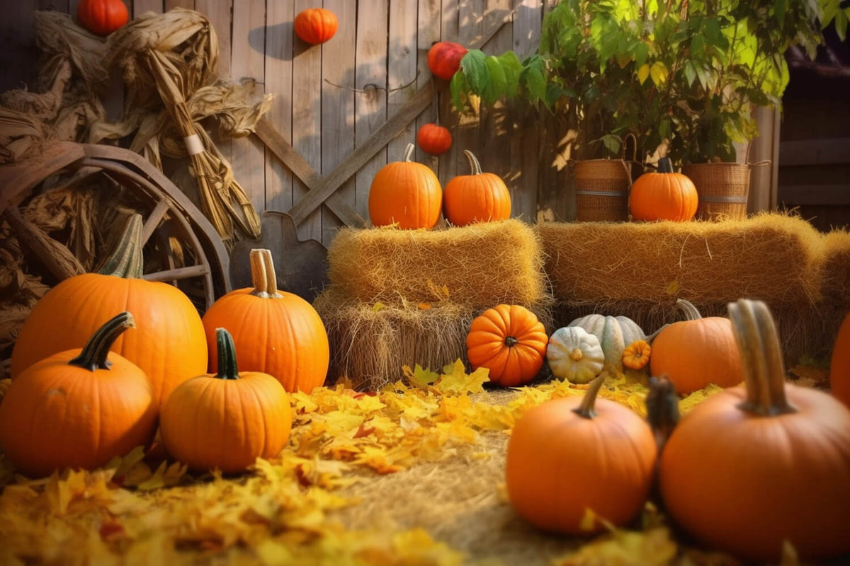 Autumn Barn Haystack Pumpkins Backdrop RR7-184 – Dbackdrop