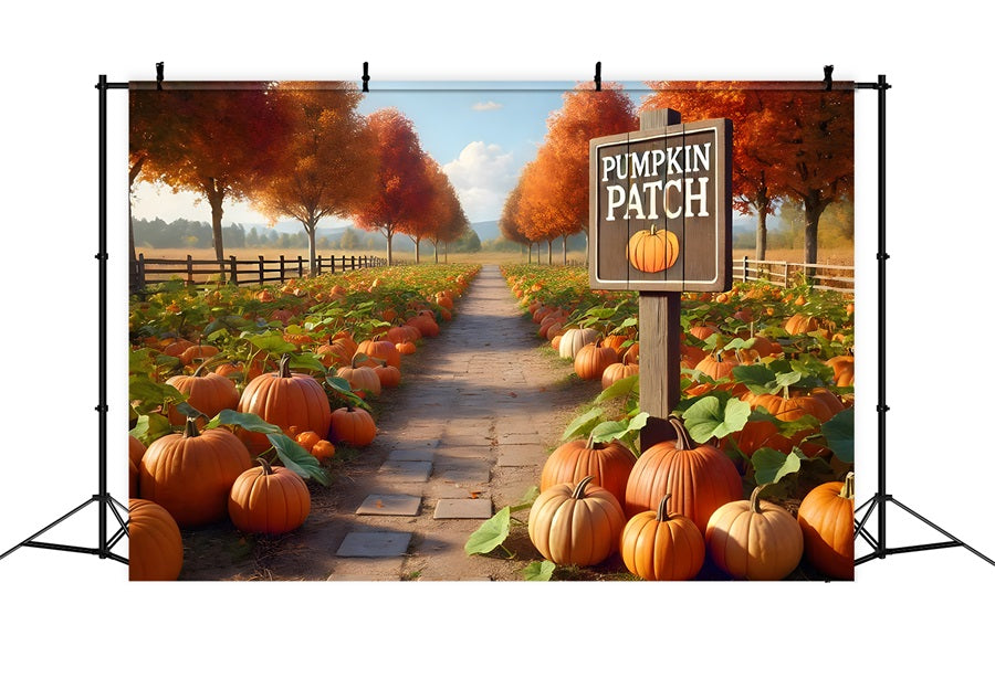 Pumpkin Patch Pathway Autumn Trees Backdrop RR7-282 – Dbackdrop