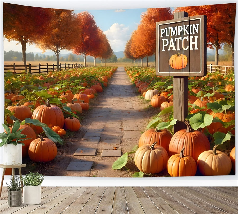 Pumpkin Patch Pathway Autumn Trees Backdrop RR7-282 – Dbackdrop