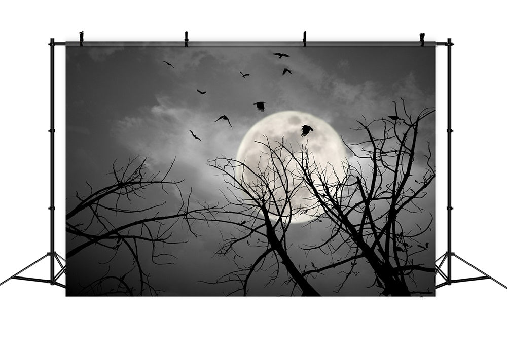 Halloween Night Dark Sky Moon Bats Backdrop RR7-487 – Dbackdrop