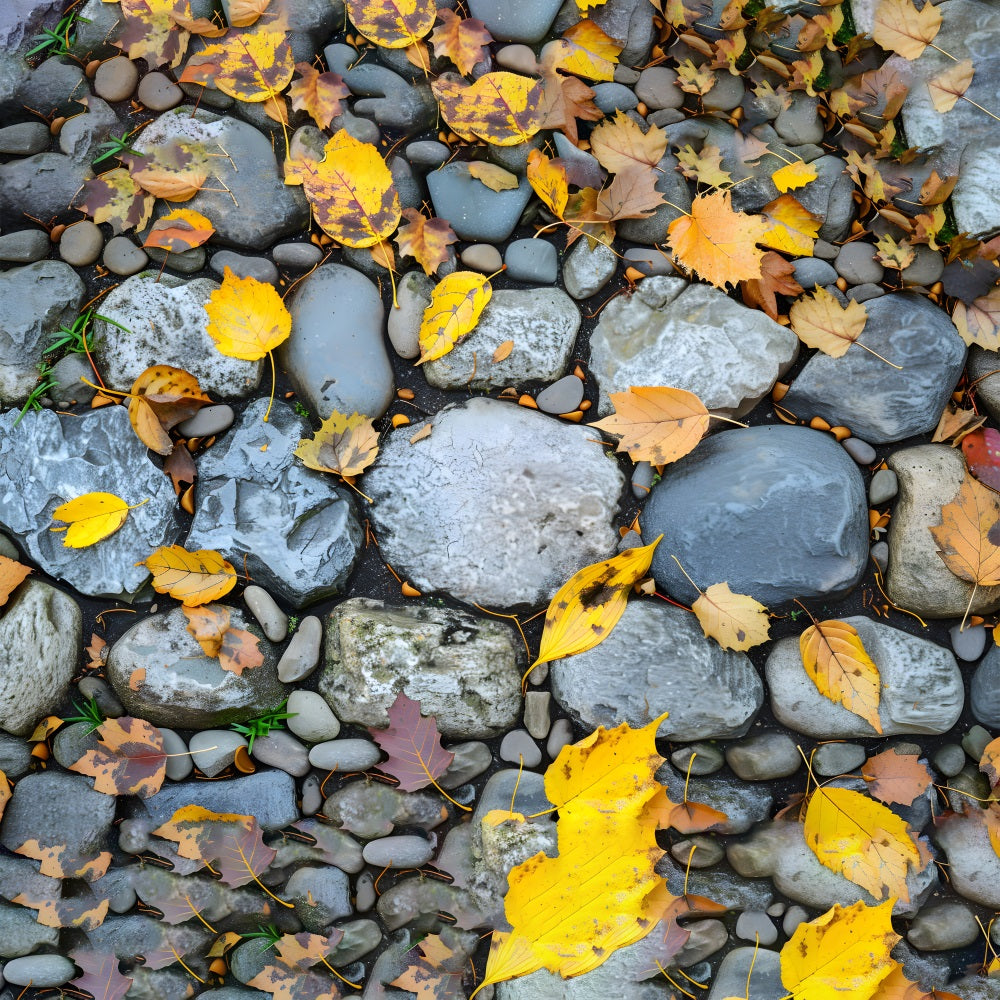 Fall Falling Leaves Rock Floor Backdrop RR7-526 – Dbackdrop