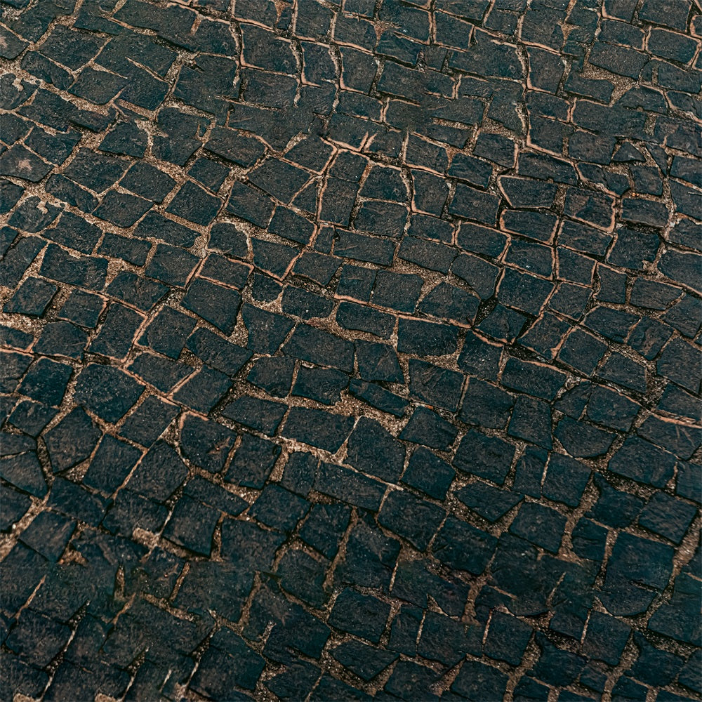 Vintage Cobblestone Street Floor Backdrop RR7-565 – Dbackdrop