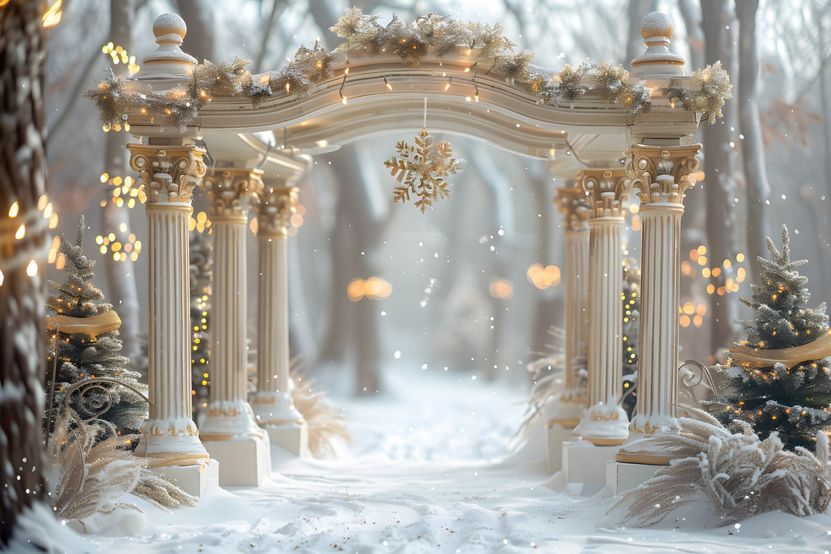 Christmas Snowflake Archway Wonderland Backdrop RR7-613 – Dbackdrop