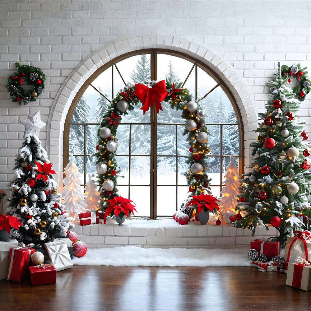 Christmas Window Snowy Forest View Backdrop RR7-693 – Dbackdrop