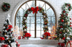 Christmas Window Snowy Forest View Backdrop RR7-693 – Dbackdrop