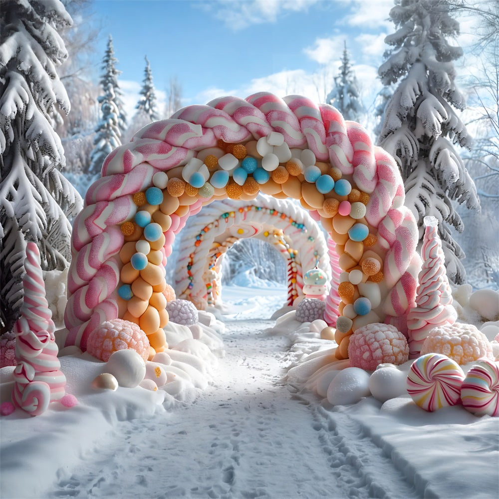 Christmas Arched Doorway Snowy Decor Backdrop RR7-702 – Dbackdrop