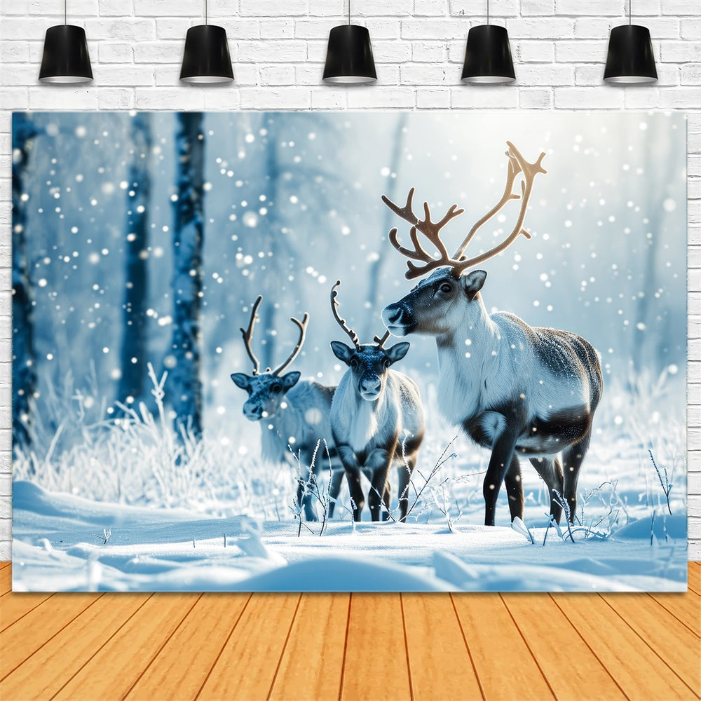 Christmas Reindeer Winter Snowy Forest Backdrop RR7-773 – Dbackdrop