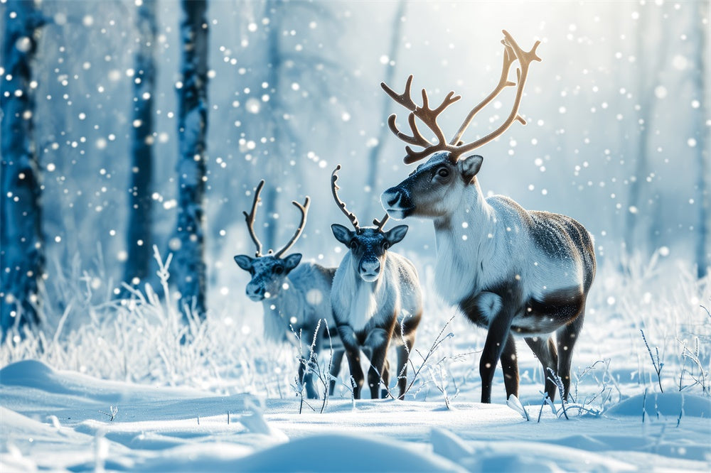 Christmas Reindeer Winter Snowy Forest Backdrop RR7-773 – Dbackdrop