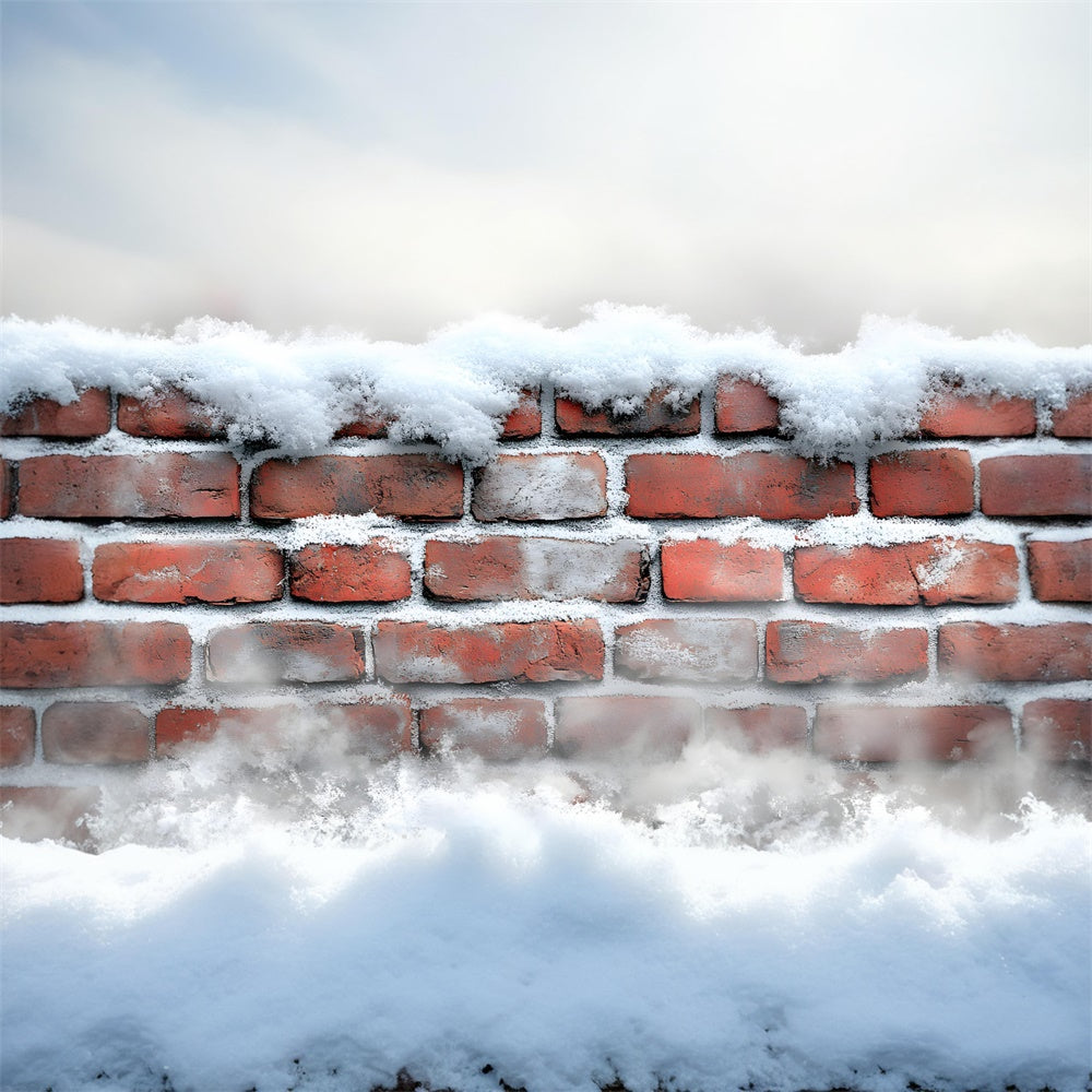 Frosted Brick Wall Snowy Floor Backdrop RR8-287 – Dbackdrop