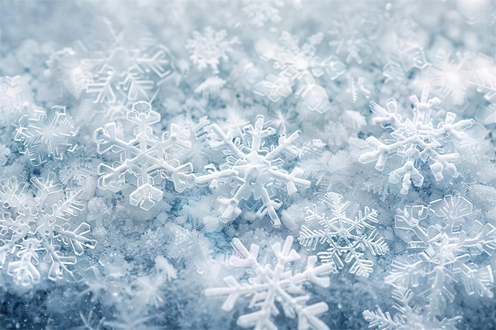 Winter Snowflakes Frosted Floor Backdrop RR8-292 – Dbackdrop