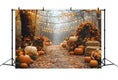 Fall String Lights Illuminating Pumpkin Backdrop RR8-316 – Dbackdrop
