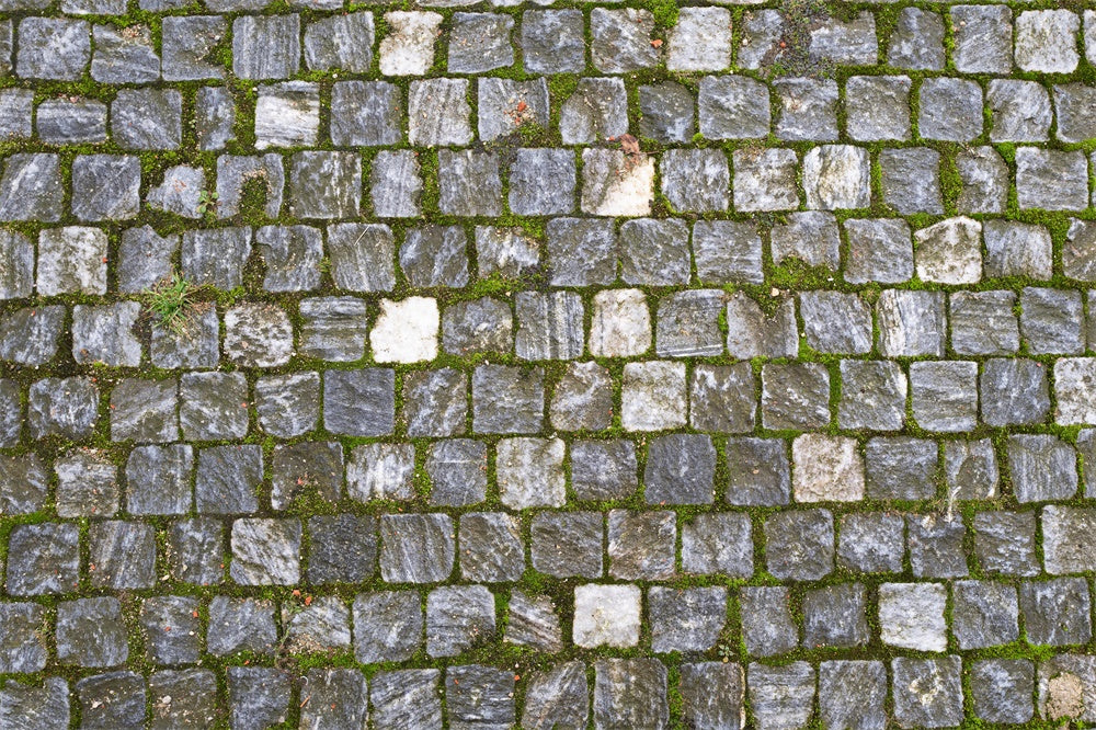 Mossy Cobble Stone Fabric Floor Backdrop RR8-680 – Dbackdrop