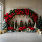 Christmas Trees Garland Photography Backdrop RR8-76 – Dbackdrop
