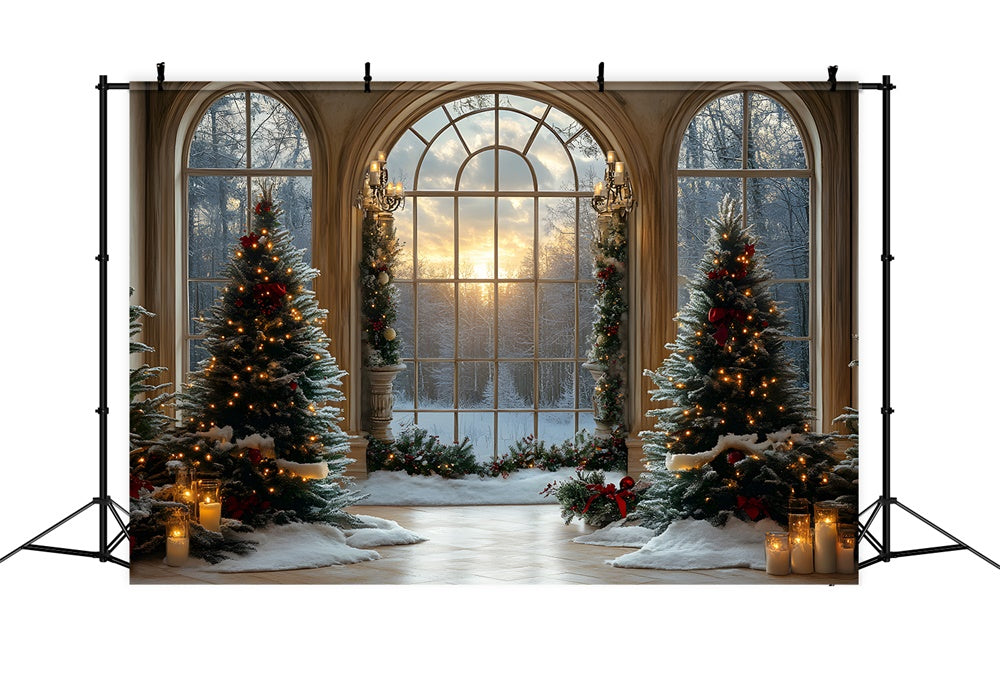 Christmas Trees Window Snowy Forest Backdrop RR8-90 – Dbackdrop