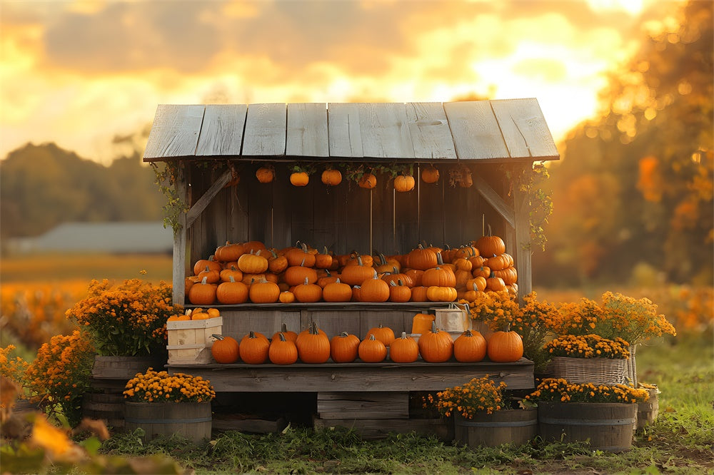 Fall Sunset Pumpkin Flowers Wood Display Backdrop RR9-40 – Dbackdrop