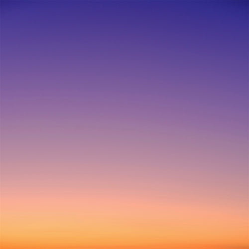 10x10 Backdrop Fabric Classic Portrait Backdrop for Photography SXS7