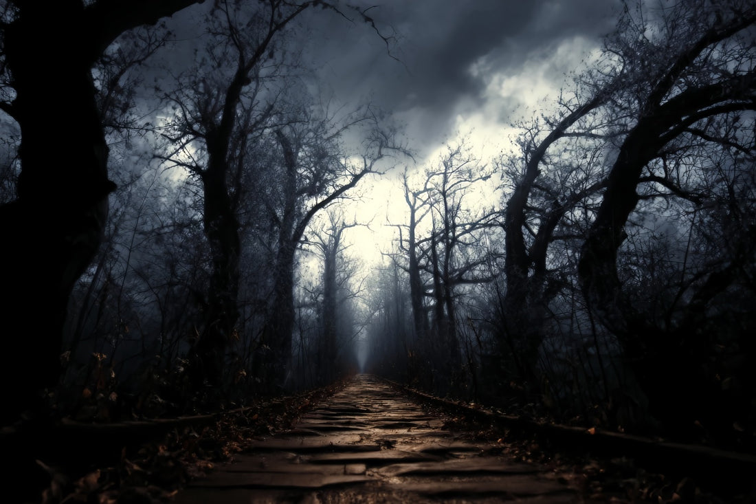 Spooky Forest Backdrop Dark Haunted Pathway Mist Dark Forest Backdrop