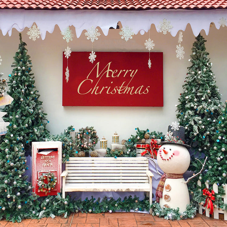 Merry Christmas Mini Sessions Photography Backdrop D1006 – Dbackdrop