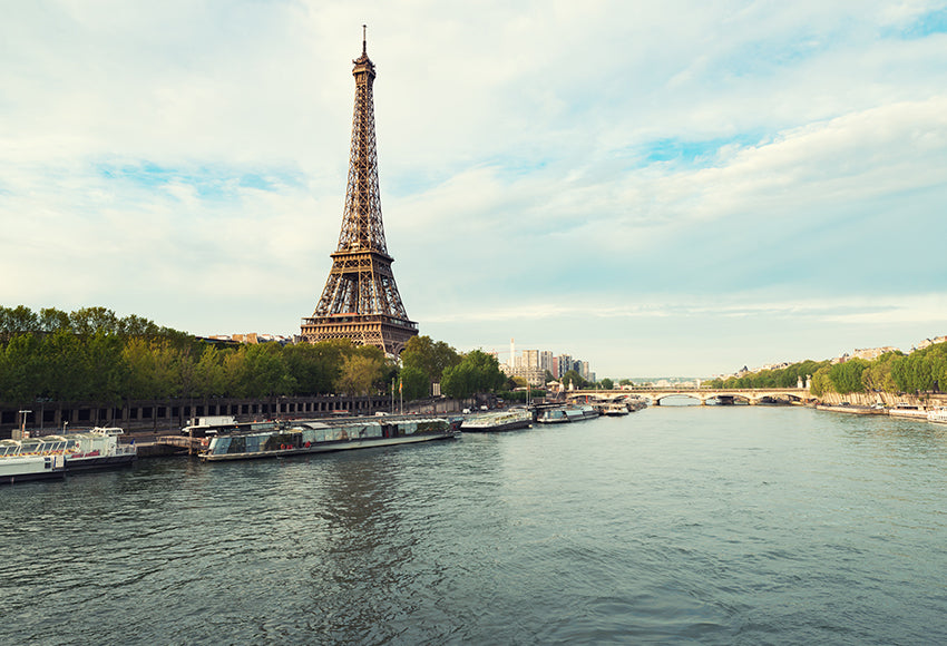 Paris Eiffel Tower Seine Backdrop for Photo Studio D120 – Dbackdrop