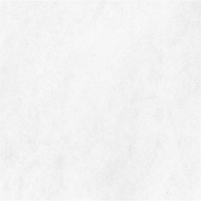 White Abstract Portrait Photography Backdrop D42