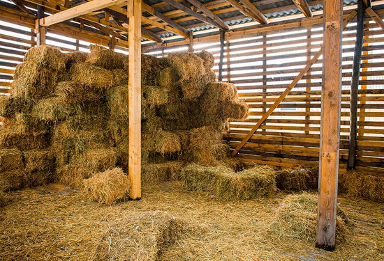 Rural Wooden Barn Interior Dry Hay Stacks Backdrop for Photography D42 ...