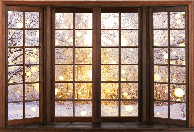 Winter Snow Scene Window Photography Backdrop D700 – Dbackdrop