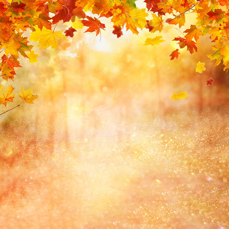Autumn Photography Backdrop Fall Leaves D861