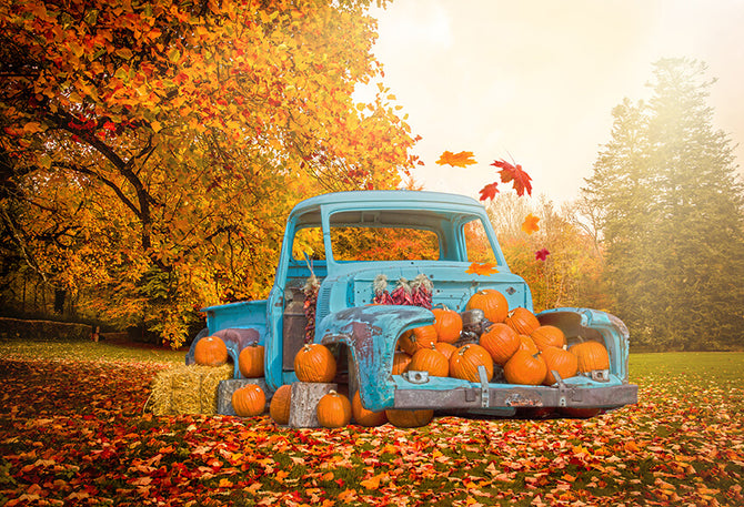 Fall Backdrops – Dbackdrop