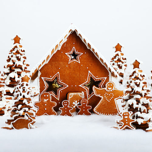 Gingerbread House Backdrop New Year Christmas Photography Background D