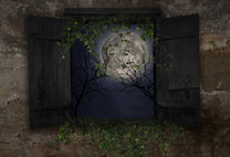 Halloween Backdrop Window Moon Scene for Photo Shoot D892 – Dbackdrop