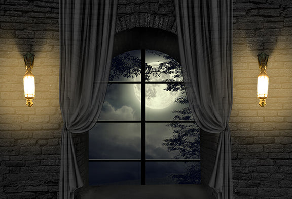Mansion Moonlight Window Halloween Backdrop D911 – Dbackdrop