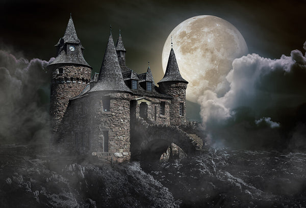 Halloween Midnight Castle Moonlight Backdrop D912