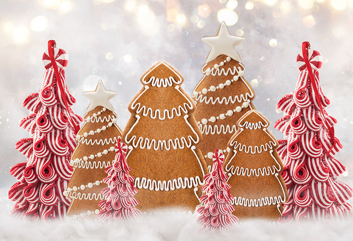 Christmas Gingerbread Forest Photography Backdrop D913