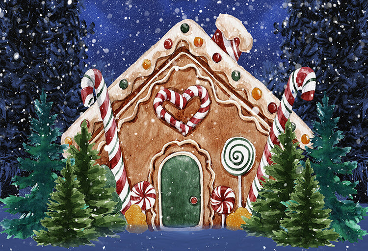 Hot Cocoa Gingerbread House Backdrop D946 – Dbackdrop