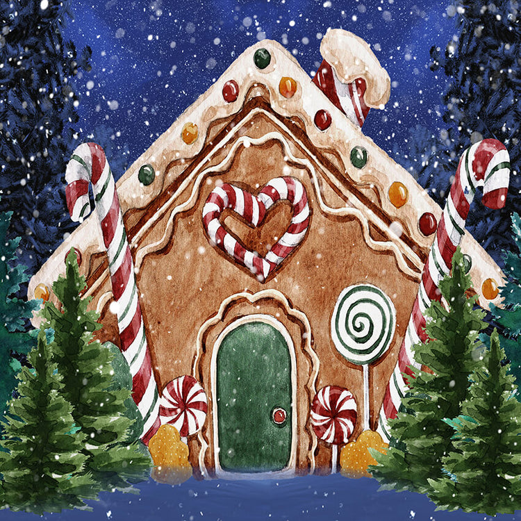 Hot Cocoa Gingerbread House Backdrop D946 – Dbackdrop