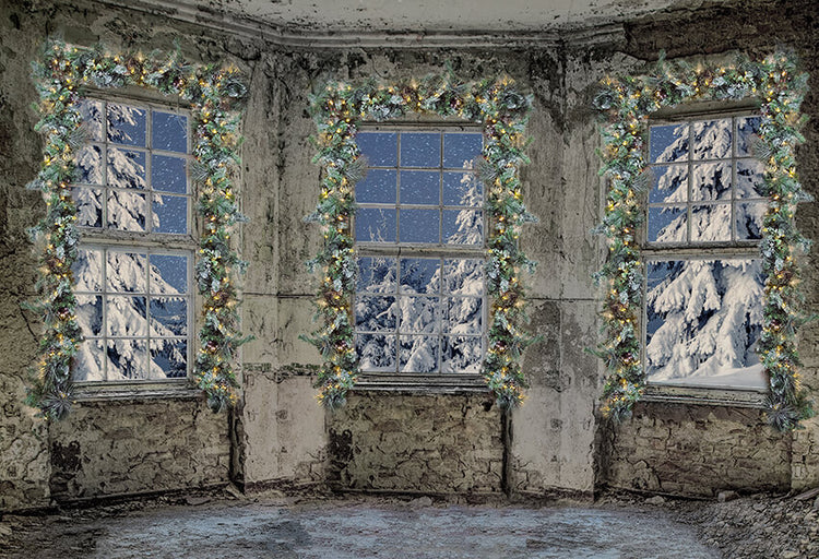 Outside Castle Winter Snow Tree Backdrop D951 – Dbackdrop