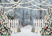 Frozen Forest Light Strings Christmas Backdrop D990 – Dbackdrop