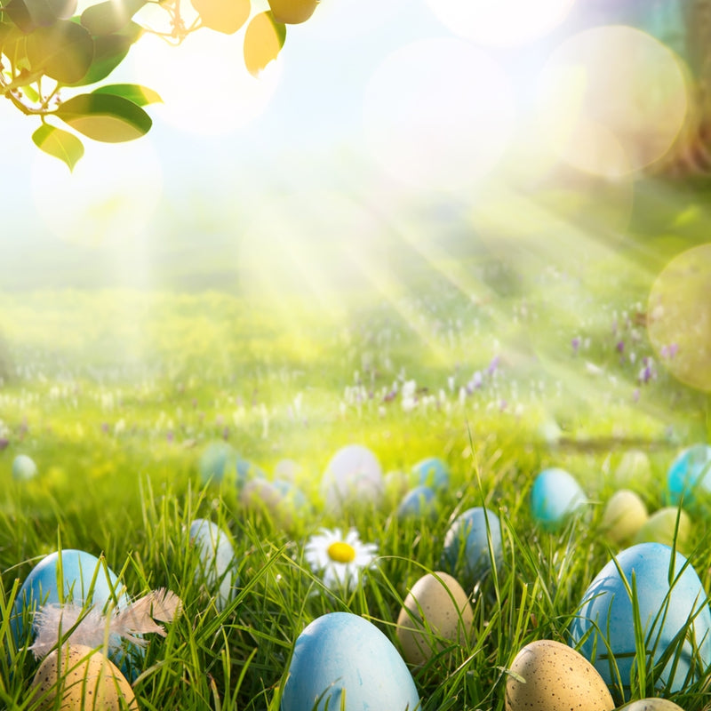 Easter Eggs Green Grass Sunshine Spring Backdrop for Photography LV-17