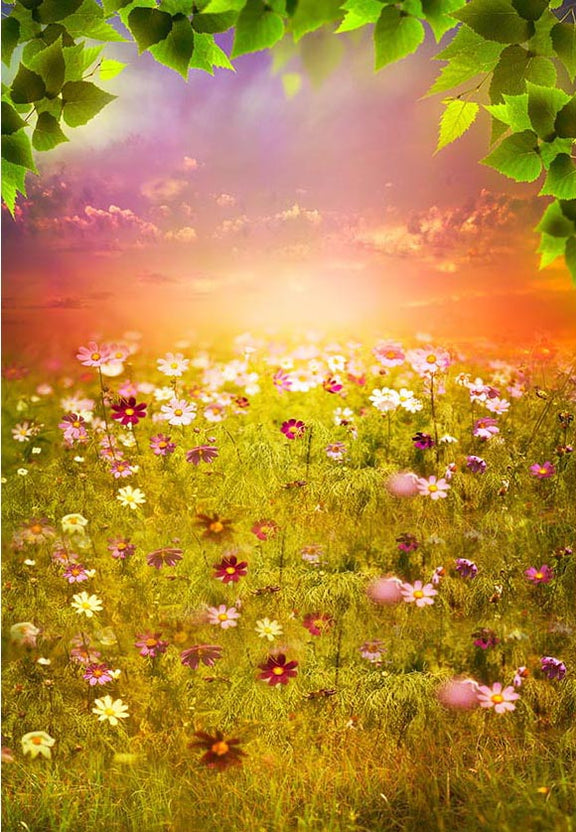 Beautiful Flowers Sunset Photography Backdrop F-2332 – Dbackdrop