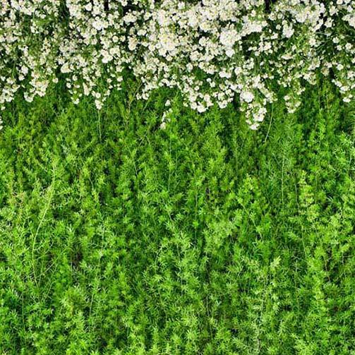 Green Leaves Flower Wall Photography Backdrop G-186 – Dbackdrop