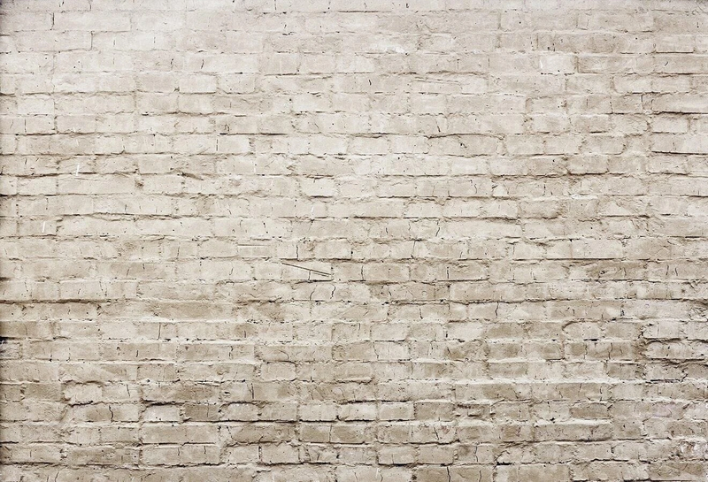 Vintage Brick Wall Seamless Photography Backdrops for Studio GC-32